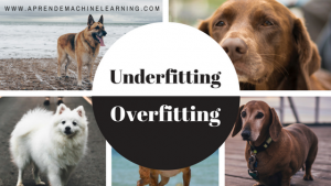 Qué es overfitting y underfitting y cómo solucionarlo | Aprende Machine ...